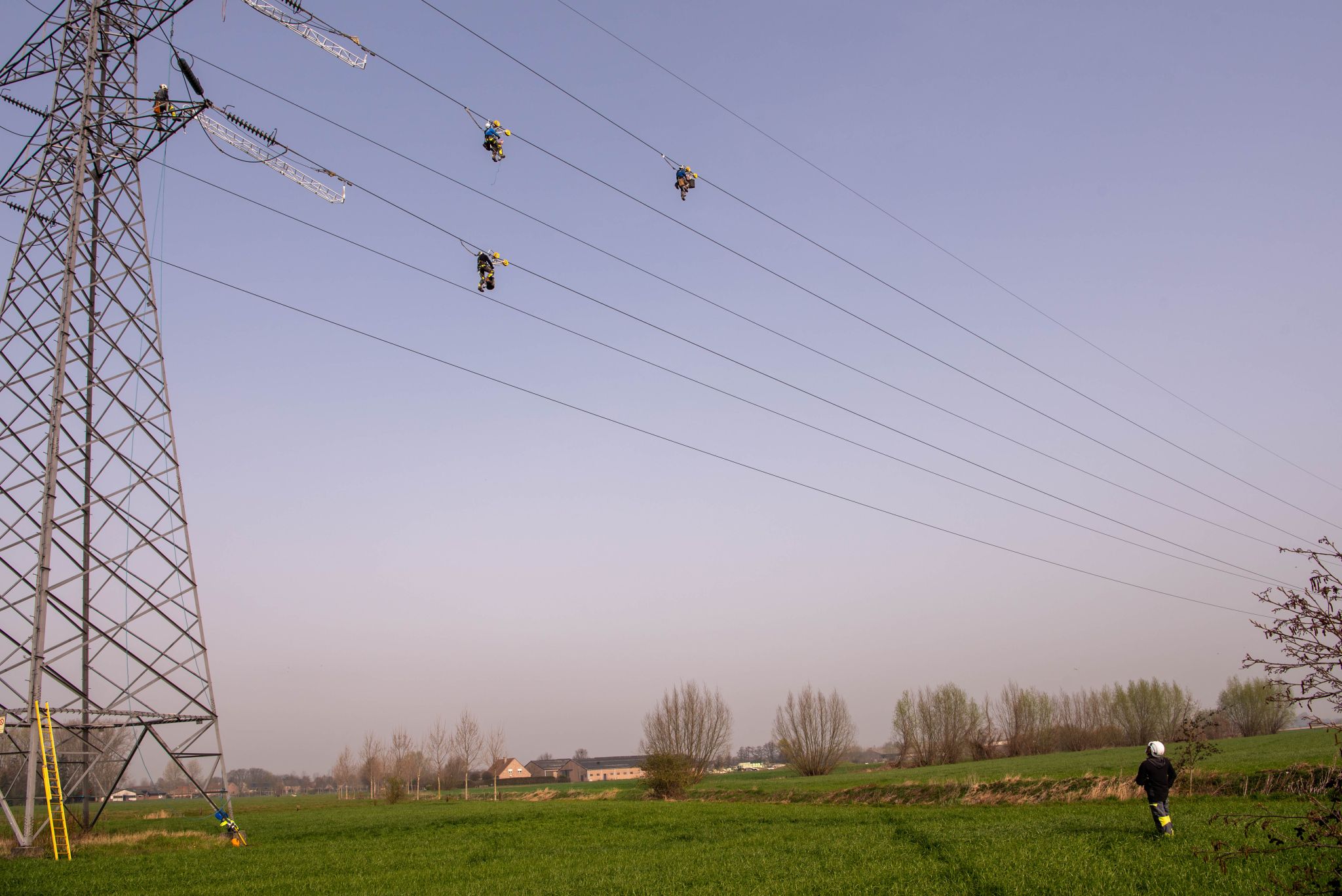 Bird markers on high-voltage overhead lines in Belgium - Omexom