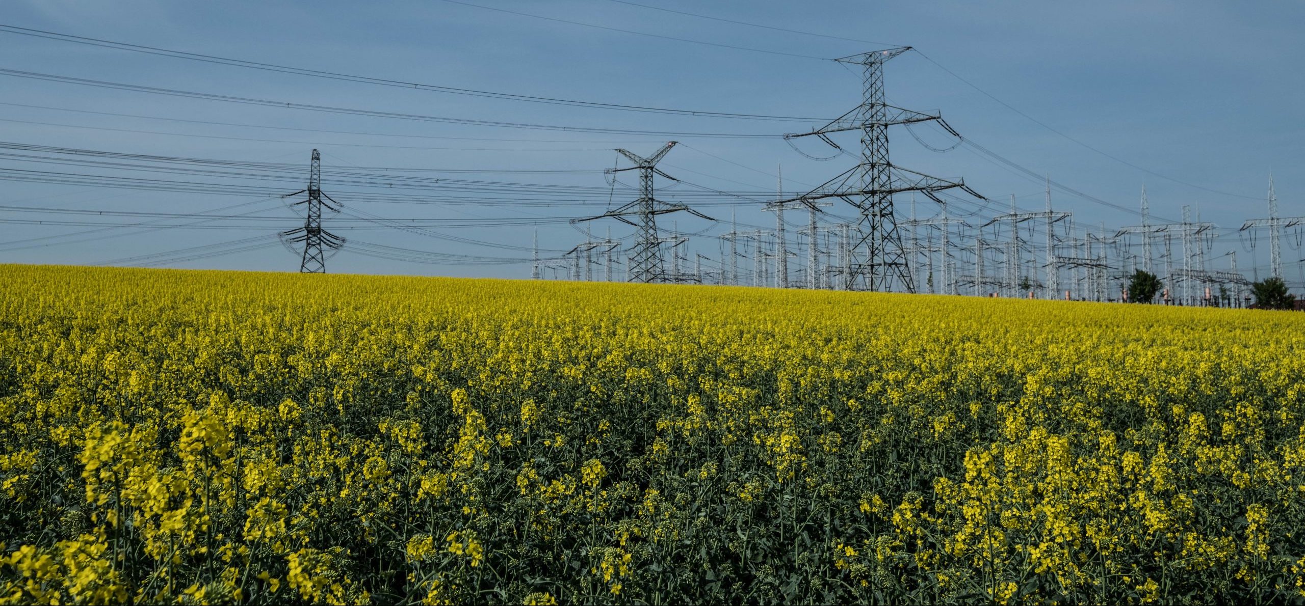 Omexom Green Story - Omexom